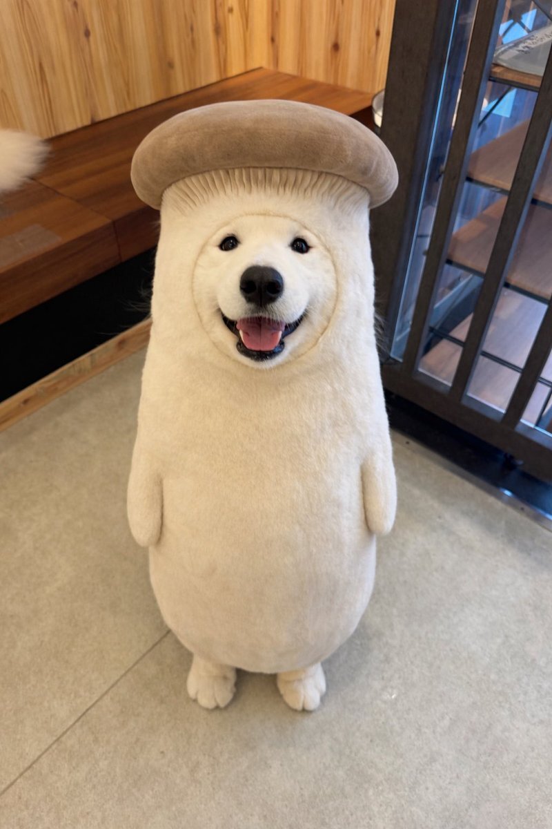 Гостиная - 537 - Страница 64 - Обсуждения переводов - Усадьба Урсы